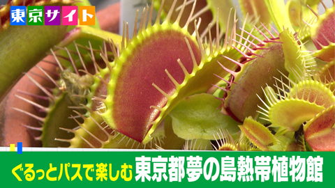 バックナンバー｜東京サイト｜テレビ朝日