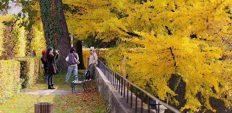 テレビ朝日｜世界の車窓から